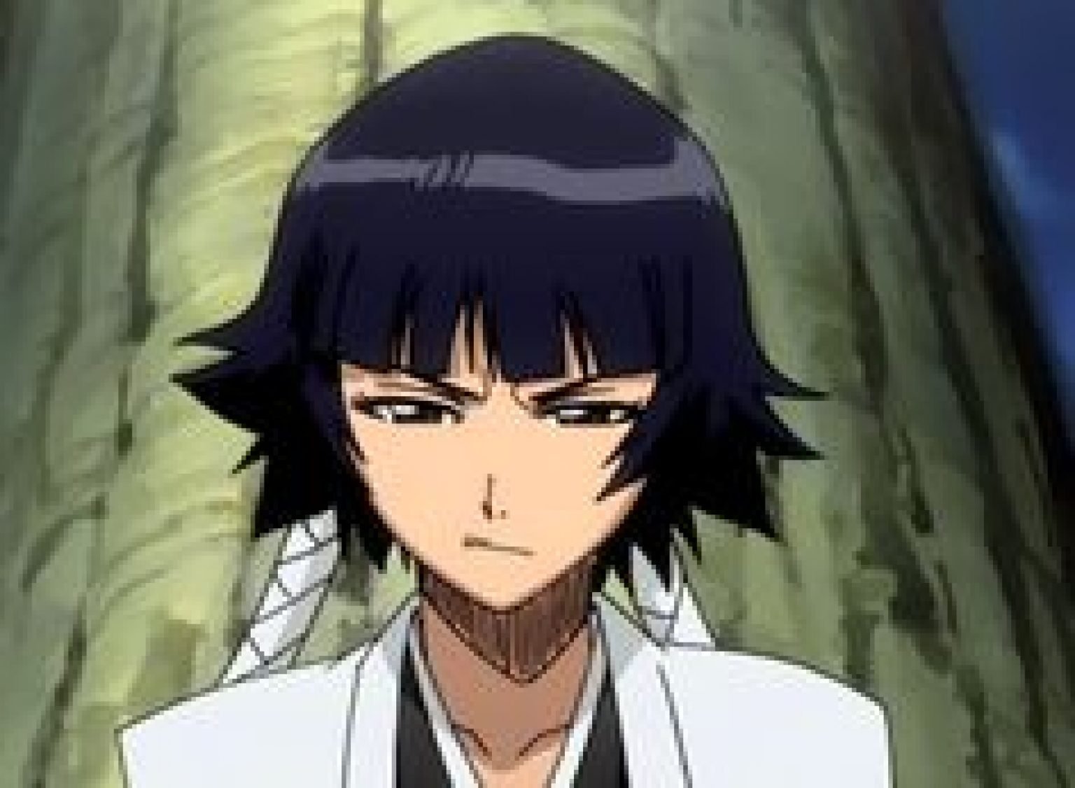 Top 10 Famous Quotes of Soifon from anime Bleach - Anime Rankers