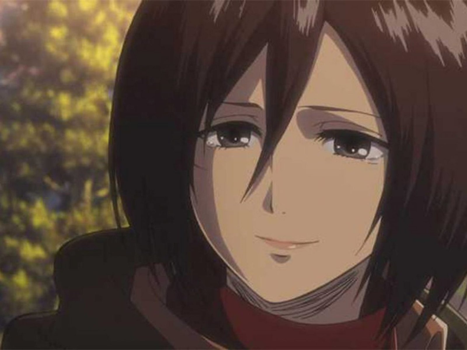 Top 6 famous quotes of Mikasa Ackerman from anime Attack on Titan ...